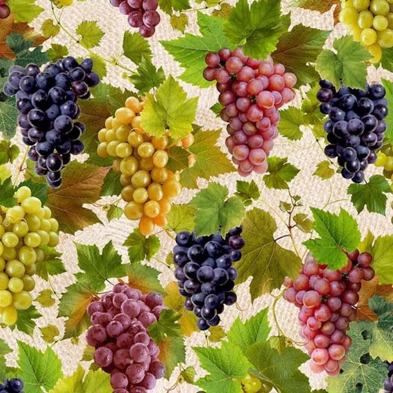 MM Viva Vino Grape Vines - DCX11560-CREM-D Cream - Cotton Fabric - Hand ...